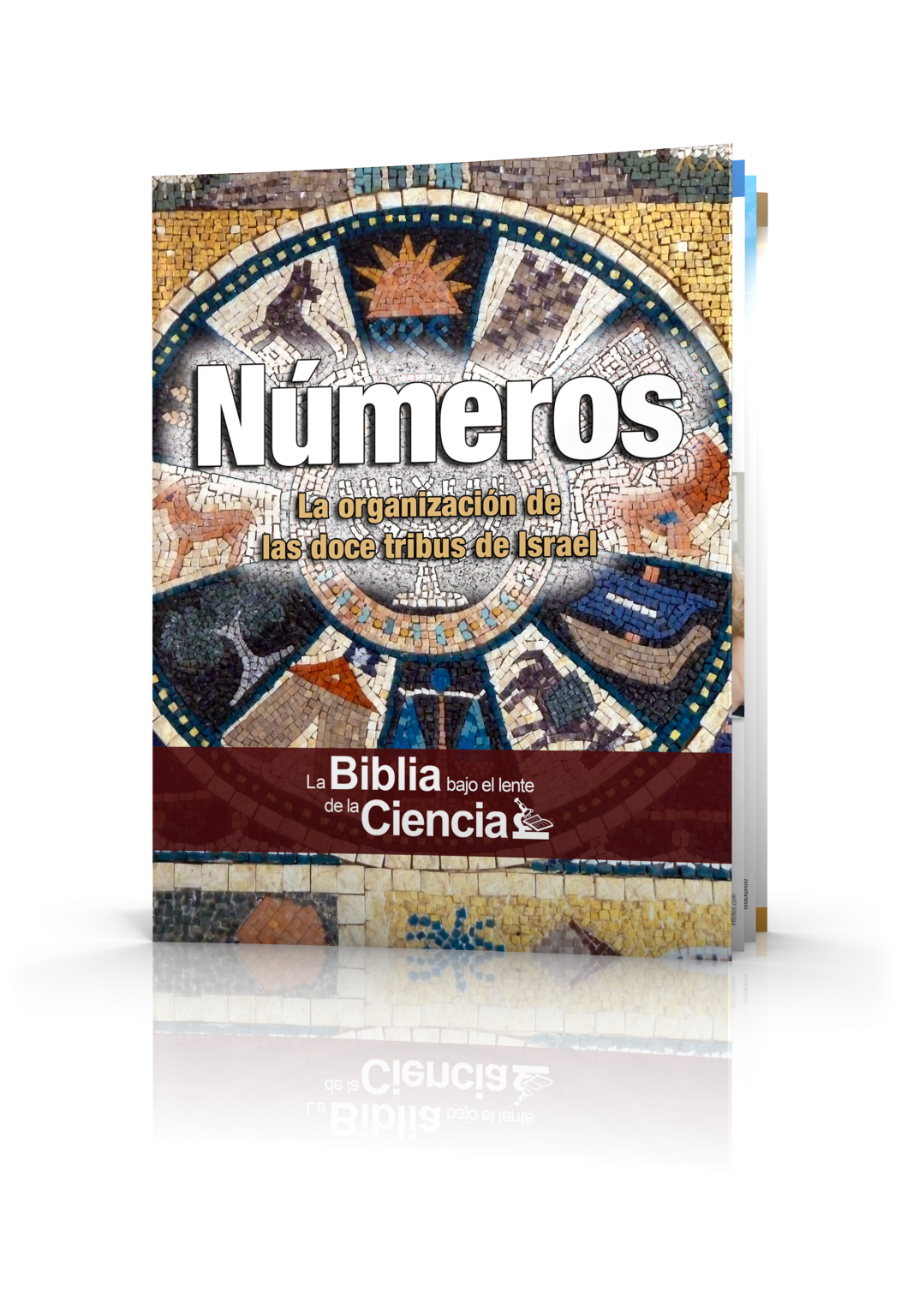 Aprendiendo lecciones valiosas: Estudio bíblico del libro de Números ...