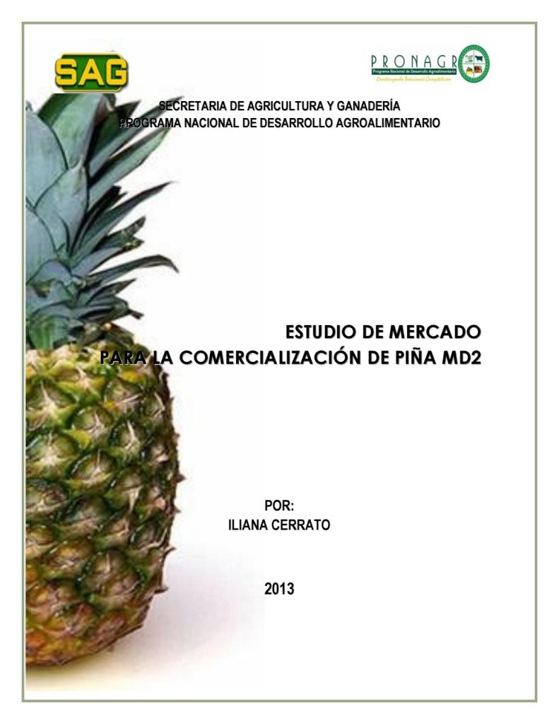 Descubre todo sobre el estudio de mercado de la piña: ¡la fruta ...