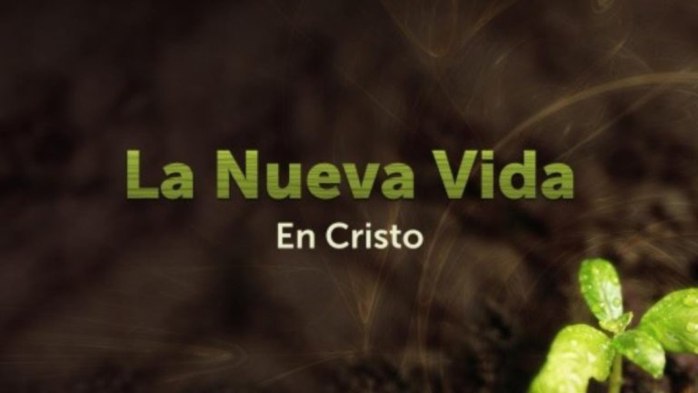 Explorando la nueva vida en Cristo: Un estudio bíblico profundo | aprendeencasa.mx